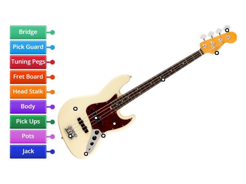 Bass Guitar Diagram - Labelled diagram