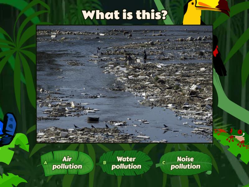 Environmental issues - Quiz