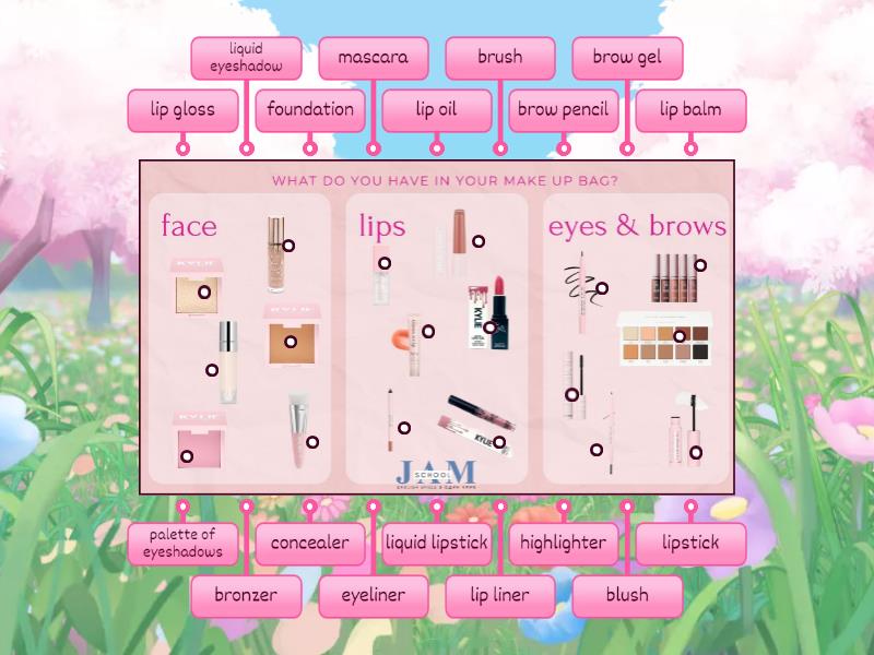 Cosmetics vocabulary - Labelled diagram
