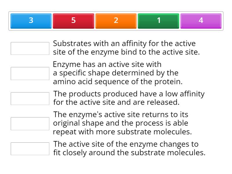Induced Fit - Steps - Match up