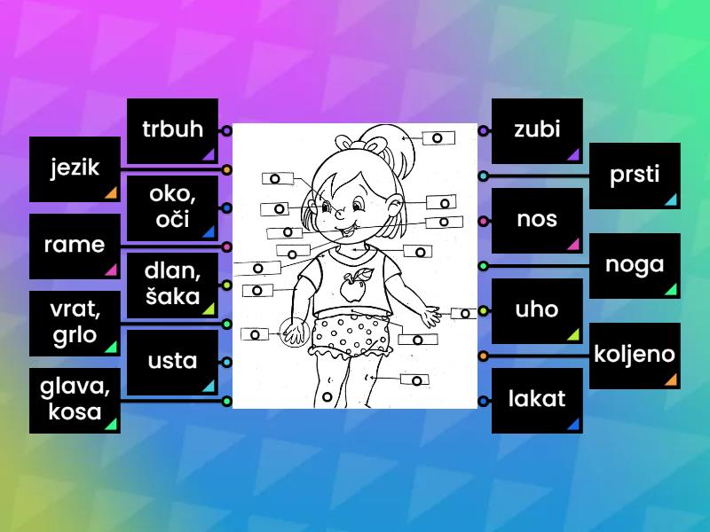 Repeating - body parts - Labelled diagram