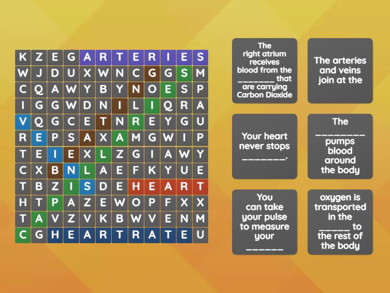 Circulatory system word search (clues) - Wordsearch
