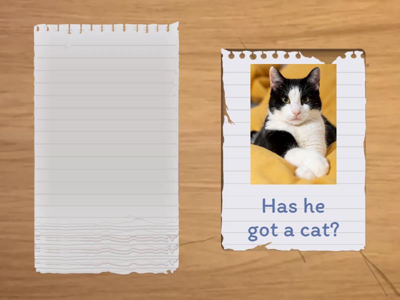 Have/ Has got..? - Speaking cards