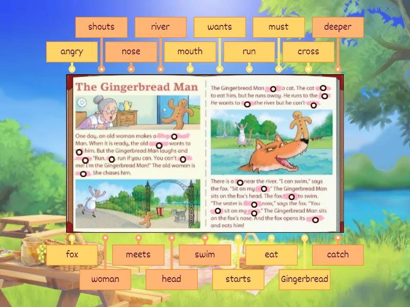 FF3 Unit 10 p. 84 Gingerbread Man - Labelled diagram