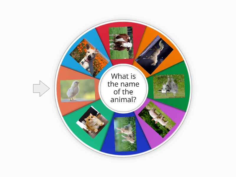 Animal Names - Spin the wheel