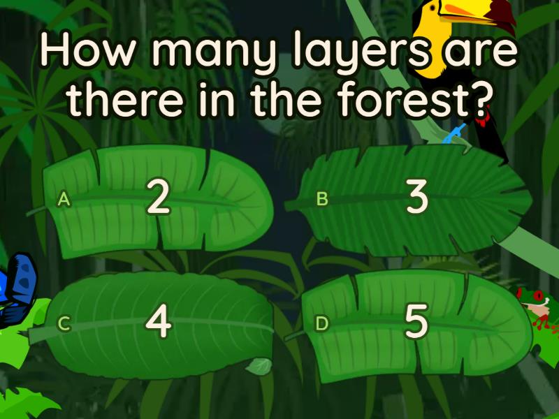 GSP_Grade 1_Project 2 In the jungle - Quiz