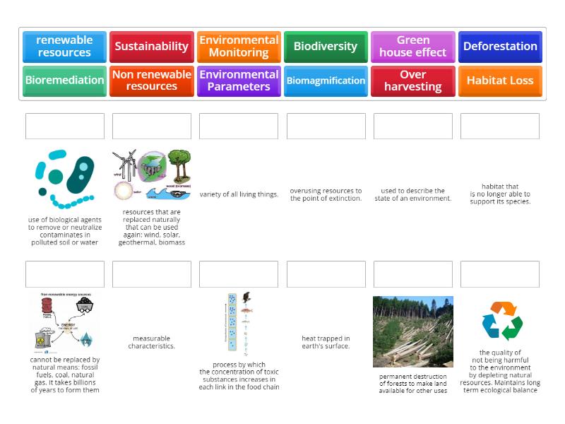 Human impact and biodiversity - Une las parejas