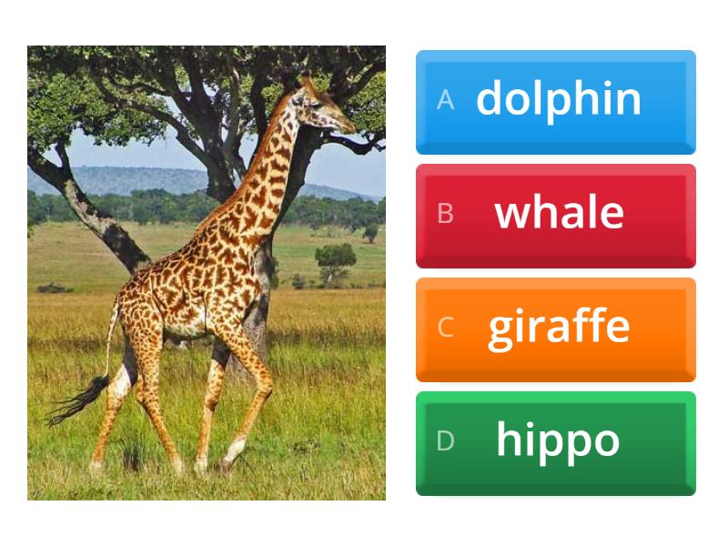 Spotlight 4 Module 4 - Quiz