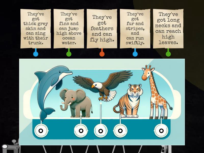 Animal Riddle - Labelled diagram