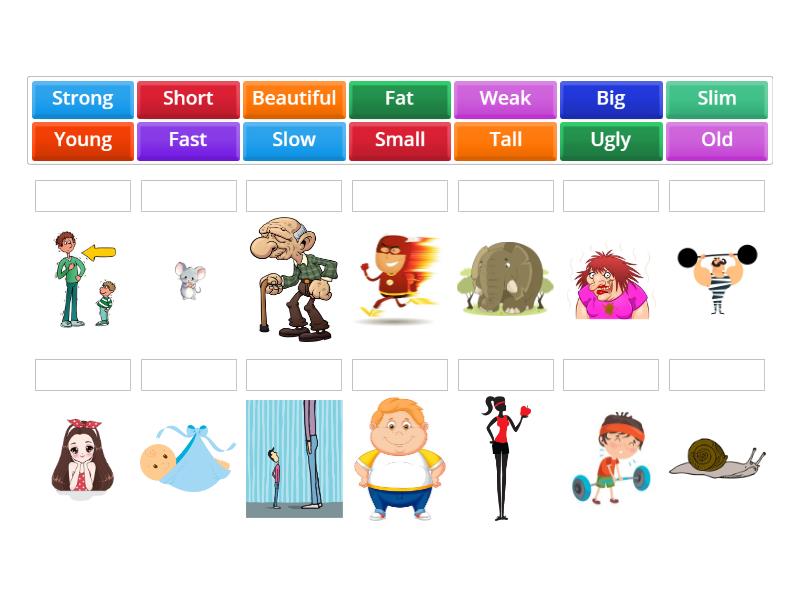 Adjectives Match Match Up