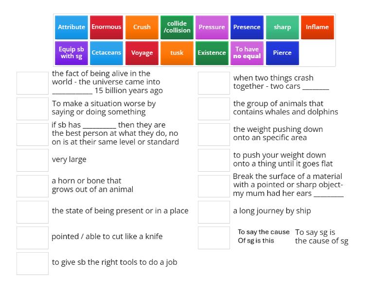 20000 leagues under the sea Chapter 1 words - Match up