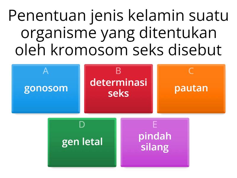 Pola Hereditas - Quiz
