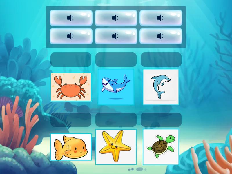 SEA animals - Match up