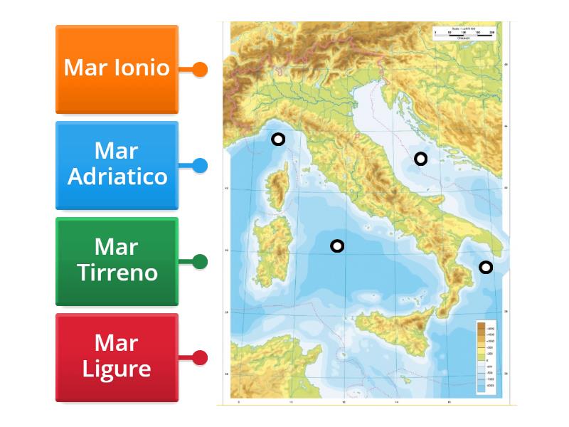 Mari Italiani - Labelled diagram
