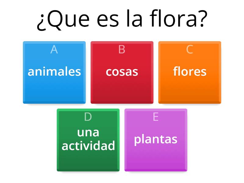 Cuestionario hacerca de la flora y la fauna - Quiz