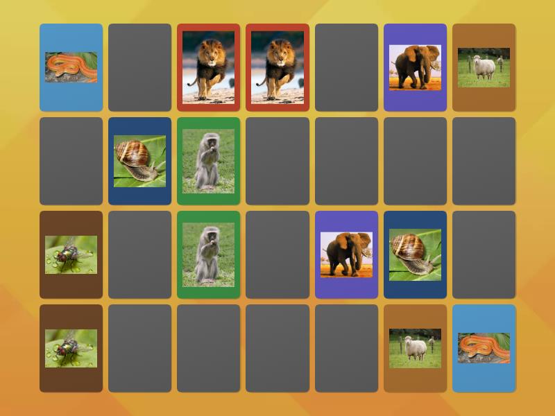 Memory: Animals - Parejas