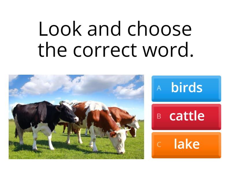 G8_U2_Review game - Quiz