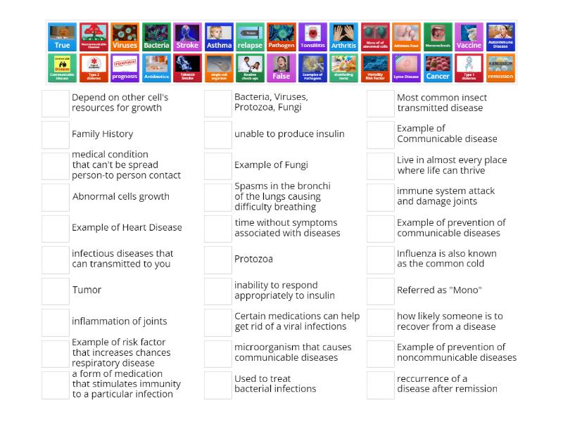 Communicable and Noncommunicable Diseases - Match up