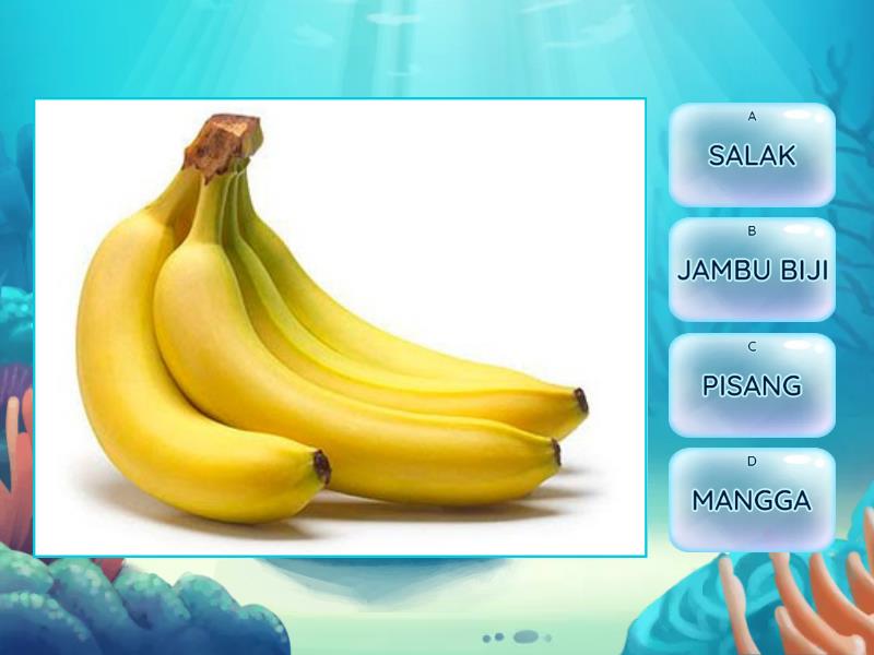 TEBAK GAMBAR - Quiz