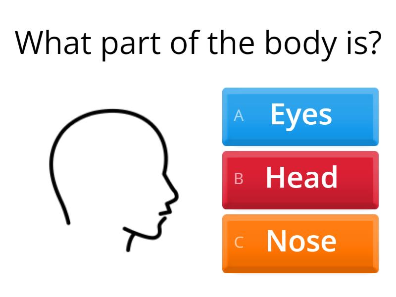 My body - Quiz