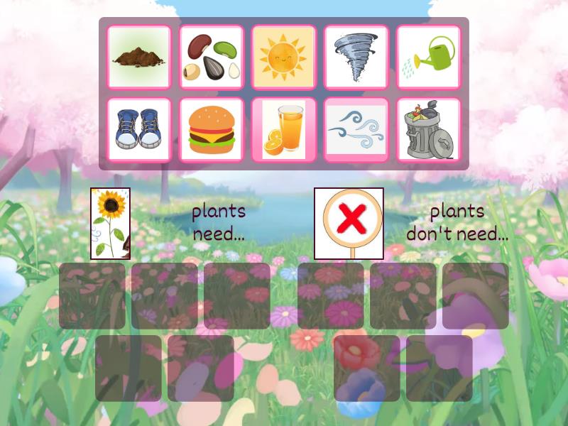 plants - Group sort