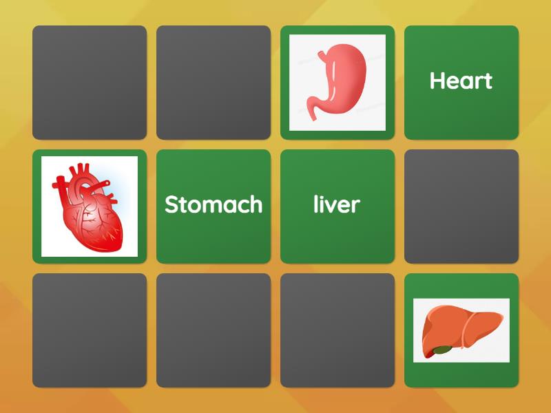Organs - Matching pairs