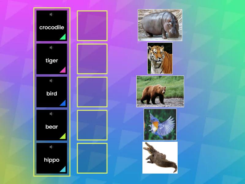 FF Starter Unit 6 Animals - Match up