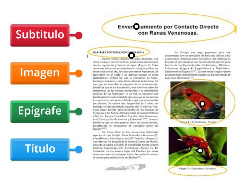 Paratextos - Labelled diagram