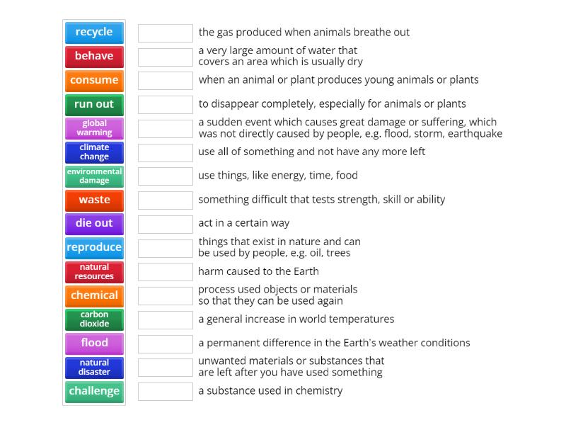 Vocabulary Environment Match Up