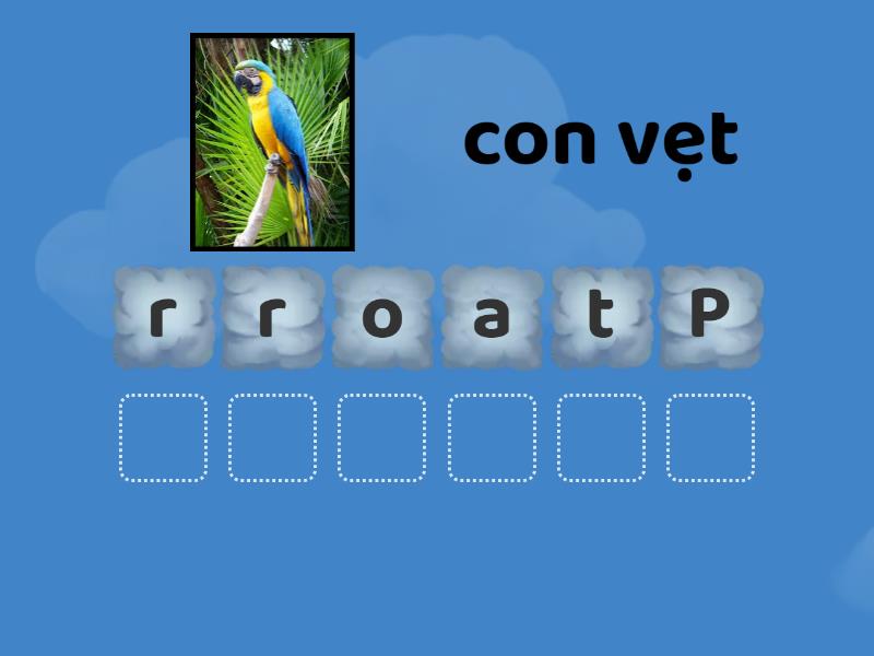 Unit 16: My Pets - Anagram