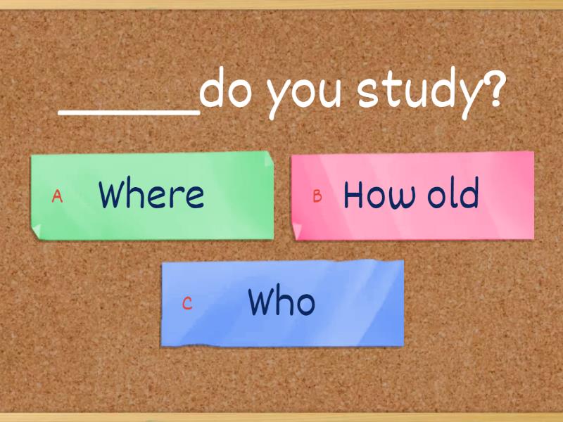 Present Simple special question - Quiz