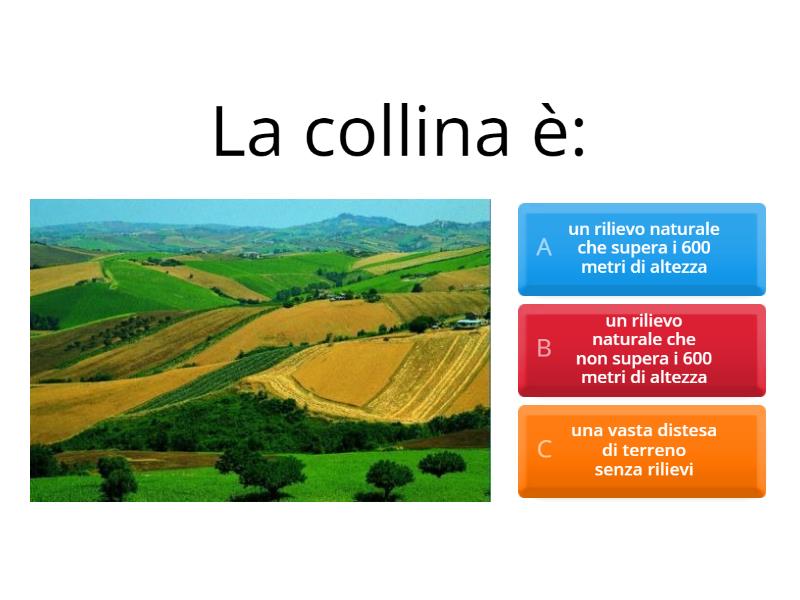 Collina classe terza - Quiz
