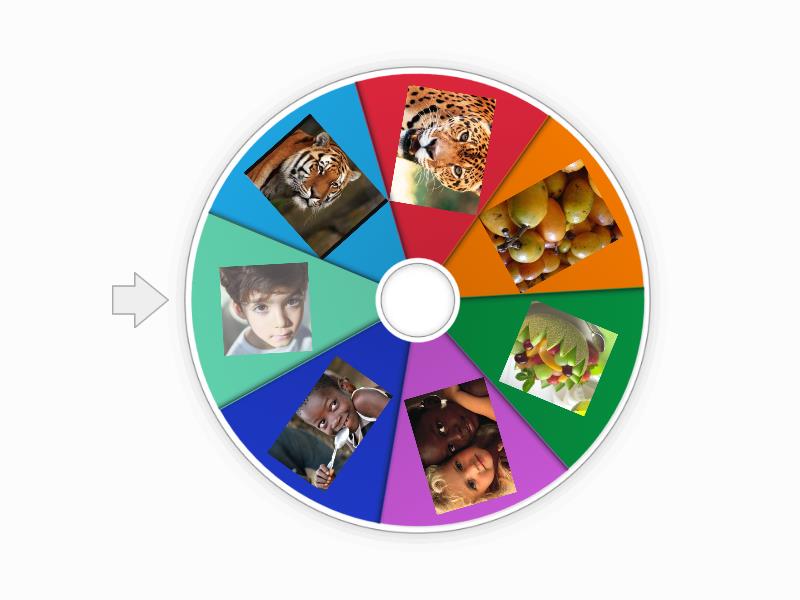 Roda roda - Spin the wheel