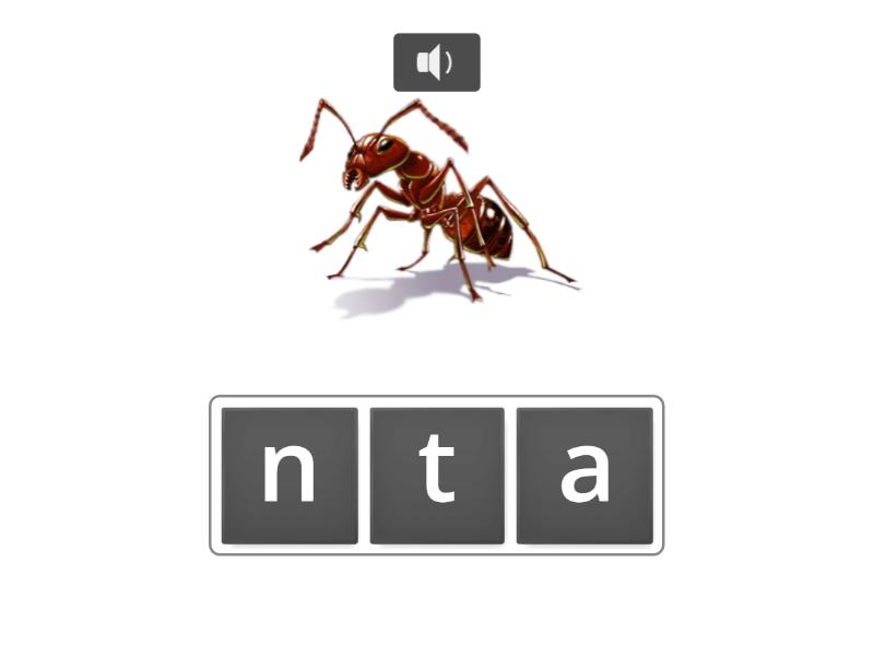 Istation Spelling Vol 1 - Anagram