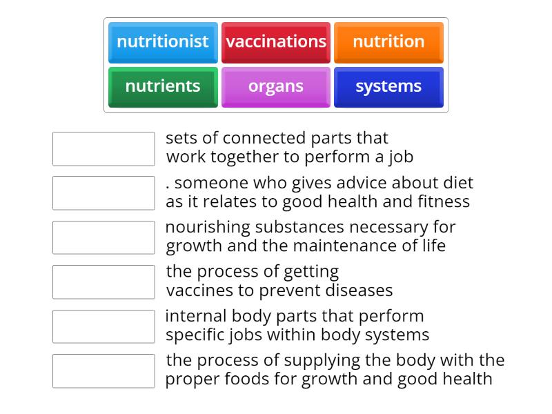 The Amazing Human Body - Match up