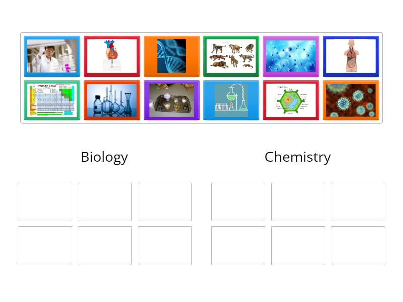 Sorting Biology vs Chemistry grade 7 - Posortuj