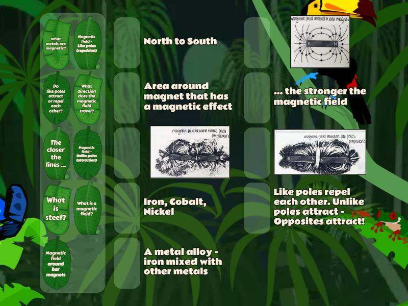 KS4 Magnetic Field - Match up