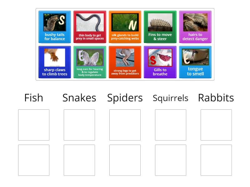 Animal Survival Characteristics - Group sort