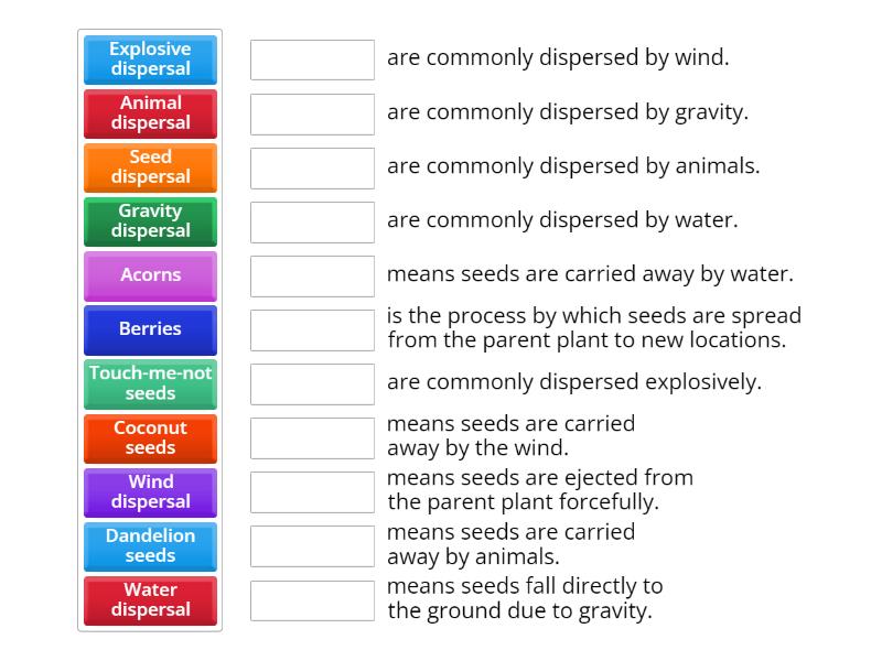 Seed dispersal - Match up