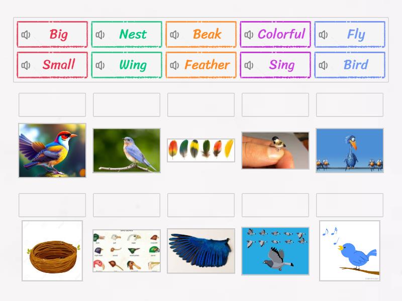 Kinder bird week 14 - Une las parejas