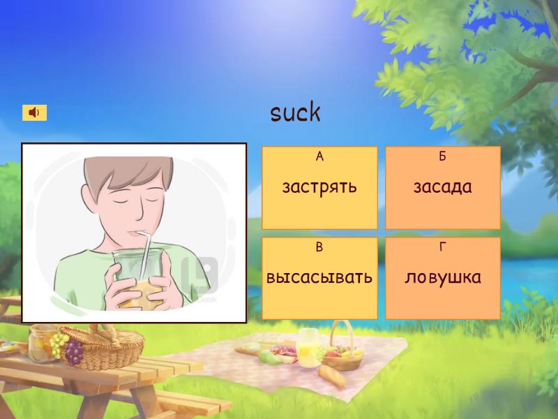 Praying mantis vs Black Widow 8 - Quiz