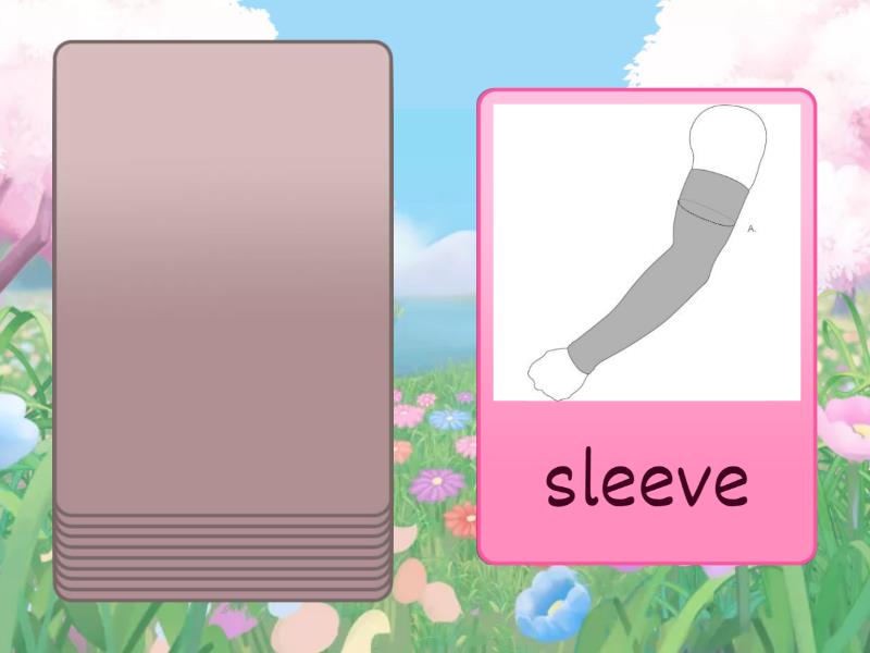 Sl words - Speaking cards