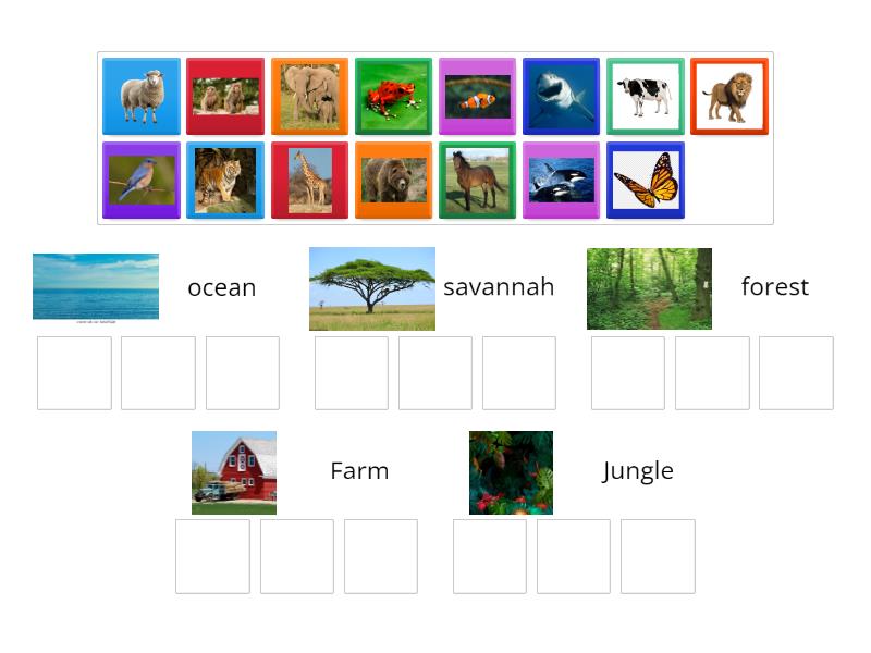 Animals - Habitats - Sort - Ordenar por grupo