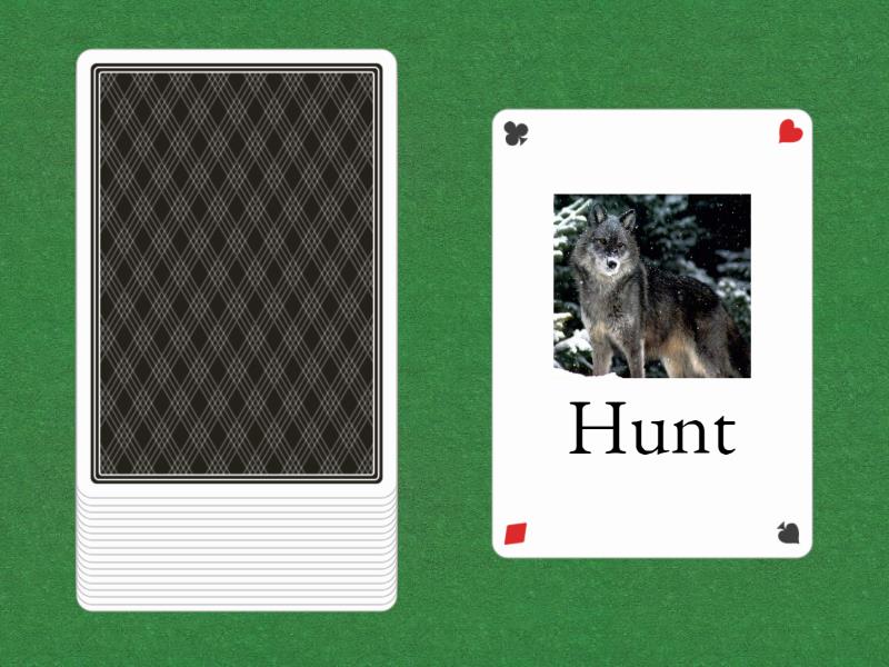 Loomad - Juhuslikud kaardid