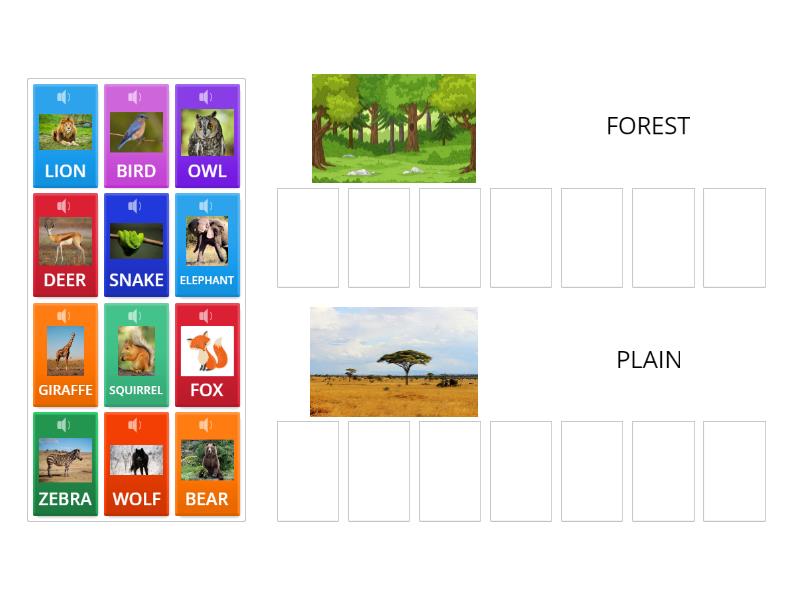 WILD ANIMALS - Group sort