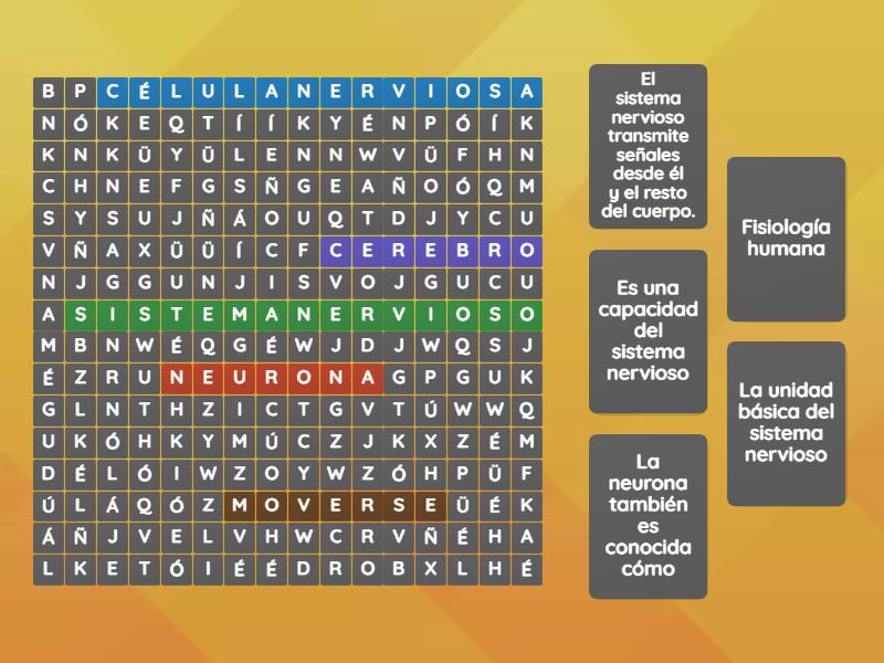 El sistema nervioso - Sopa de letras