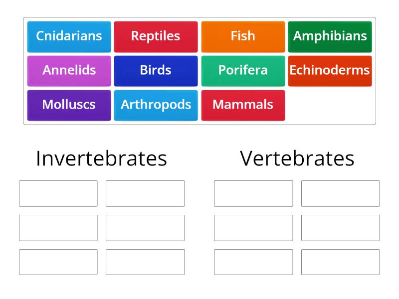 Main phyla of invertebrates and vertebrates - Group sort