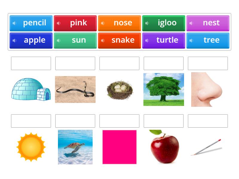 Phonics: Unit 1 - s-t-a-p-i-n - matching pairs - Match up