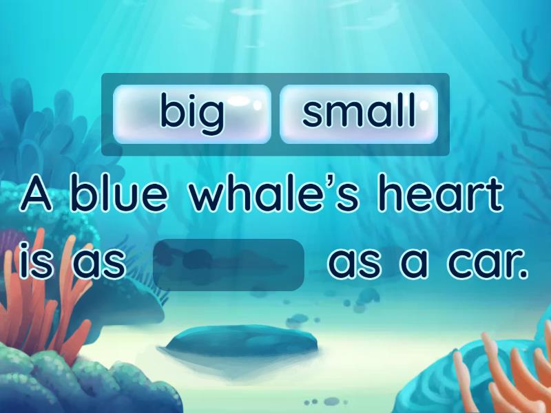 Facts about Blue Whales - Complete the sentence