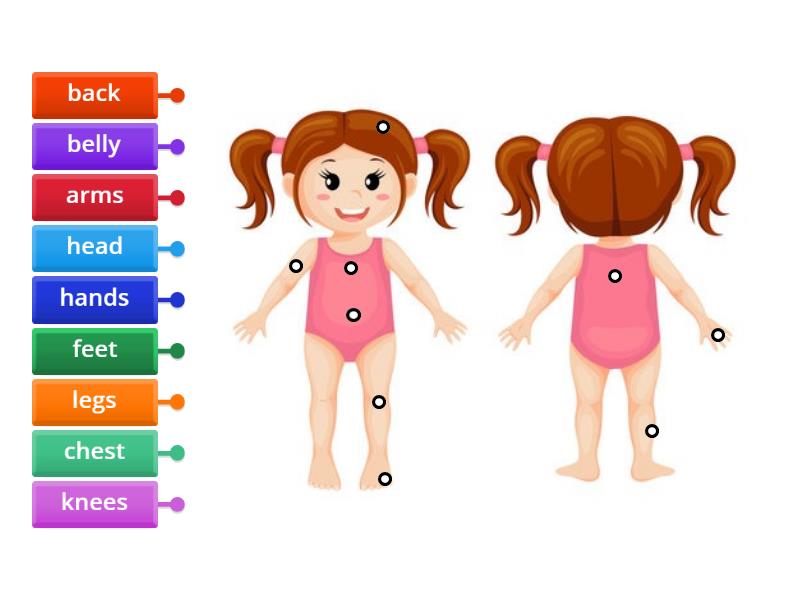 BODY PARTS - Labelled diagram